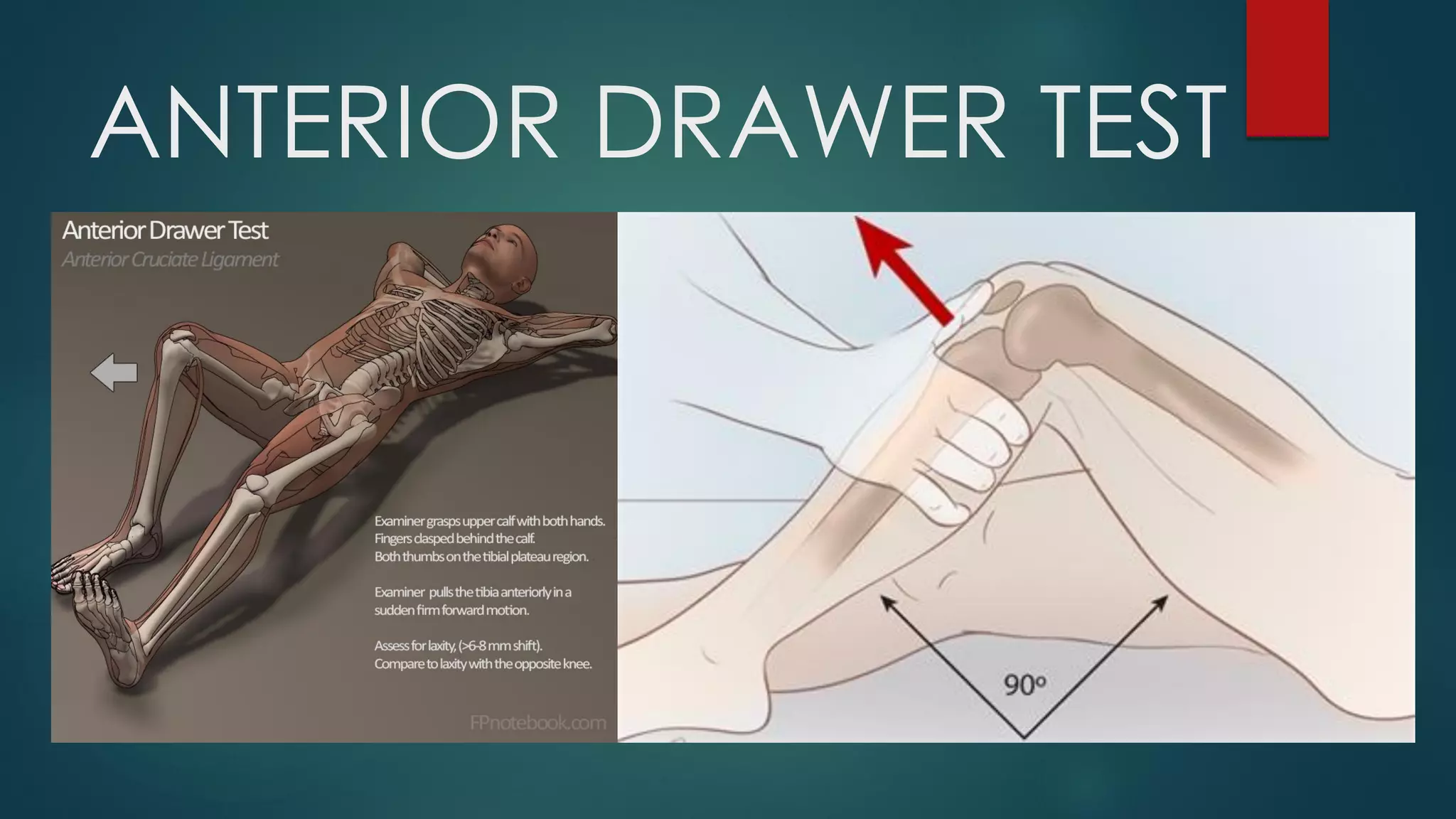PS SESSION : EXAMINATION OF KNEE JOINT | PDF