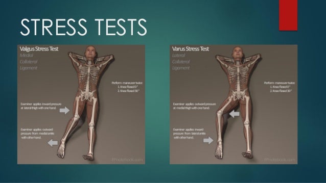 PS SESSION : EXAMINATION OF KNEE JOINT