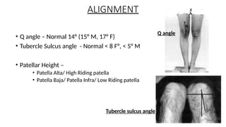 Knee Joint Examination orthopaedics .pptx