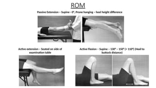 Knee Joint Examination orthopaedics .pptx