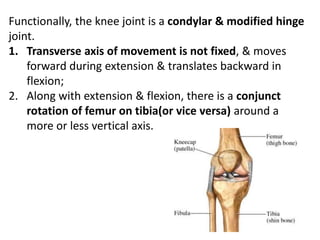 KNEE JOINT GK.pptx