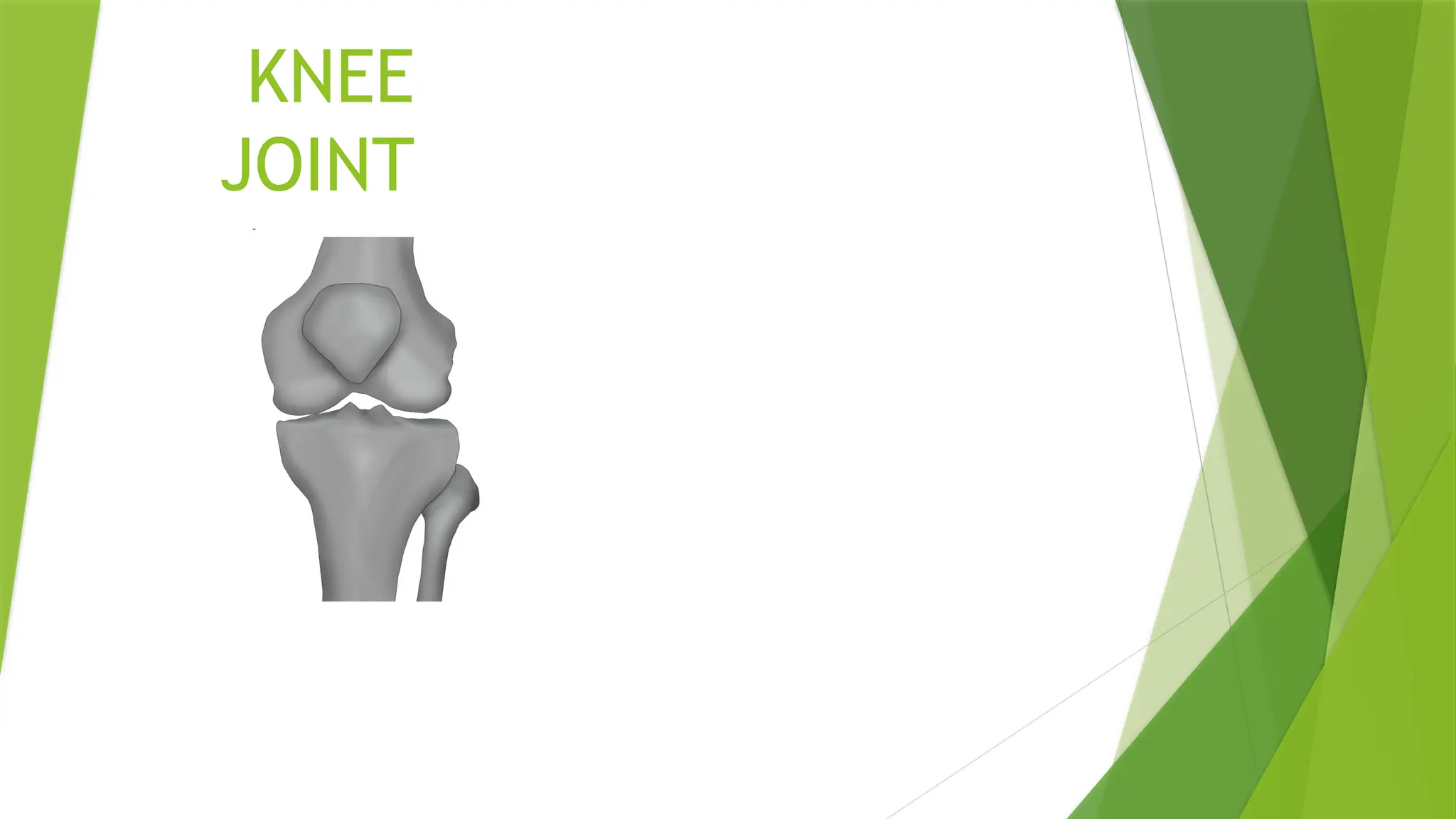 KNEE JOINT Xray anatomy for radiology exam final year | PPTX