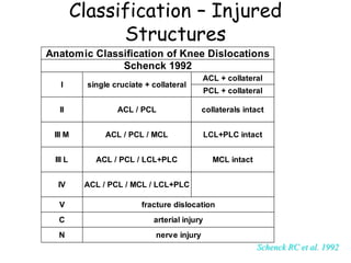 Knee joint applied mechanics - an overview | PPT
