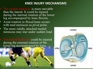 Knee joint applied mechanics - an overview | PPT