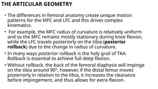 knee kinematics including biomechanics and anatomy.pptx