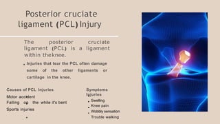knee ligament injuries.pptx
