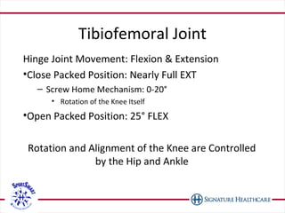 Knee Ligament Lecture | PPT