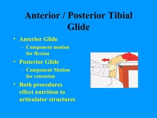 Knee Mobility Lecture | PPT