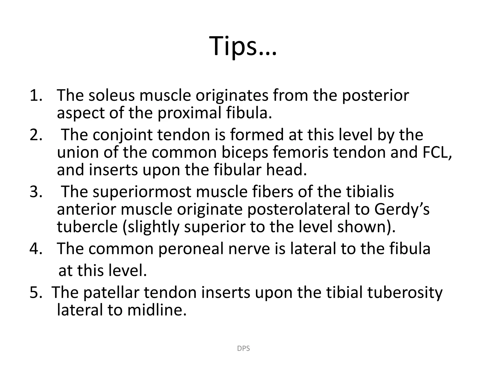 Knee mri: systematic interpretation by dr. d. p. swami | PPTX | Death, Injury, or Military ...