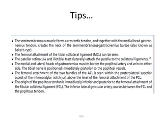 Knee mri: systematic interpretation by dr. d. p. swami | PPTX | Death, Injury, or Military ...