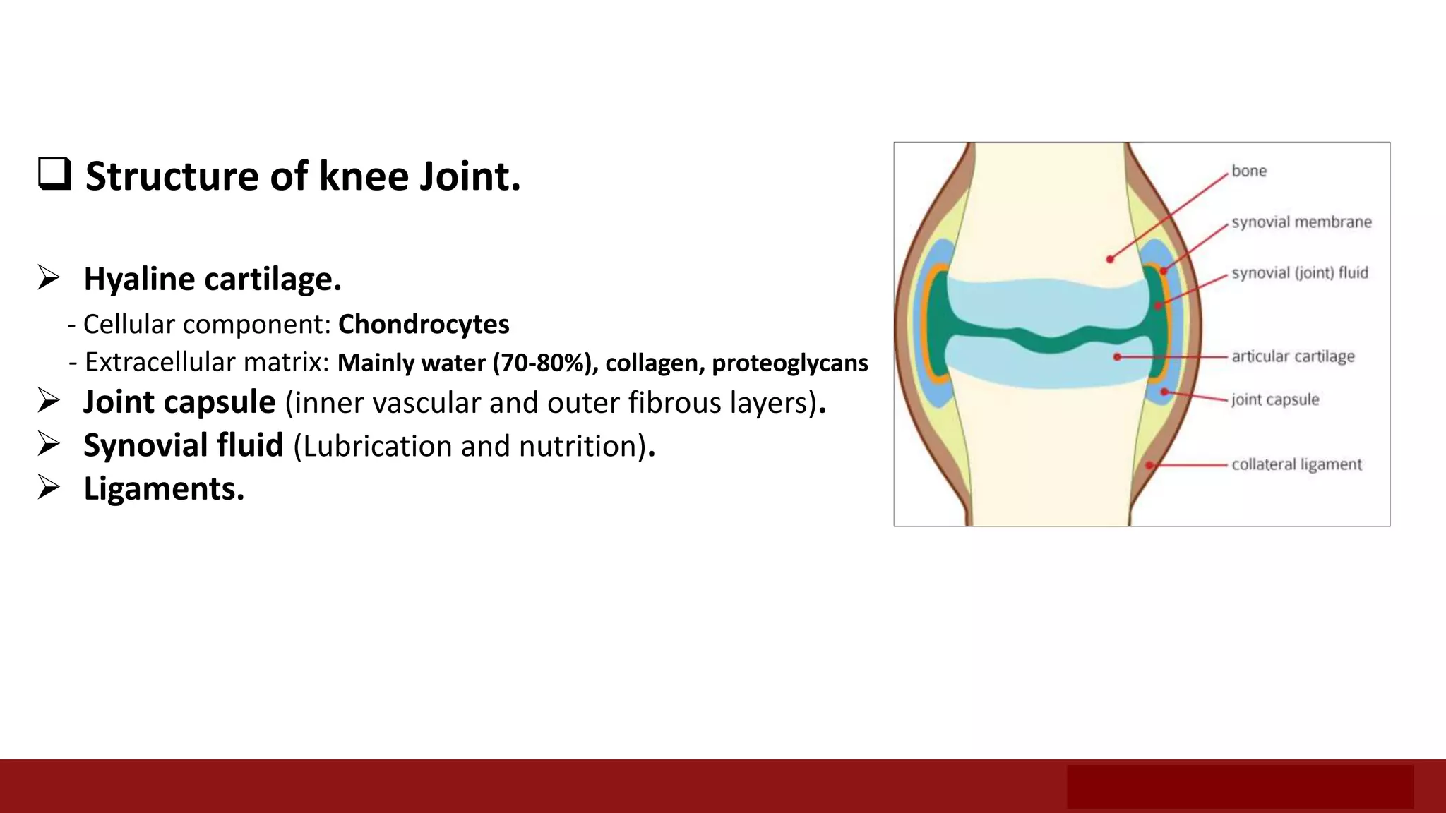 Knee osteoarthritis treatment in 2019 | PPTX