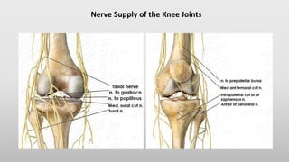 Knee pain | PPTX