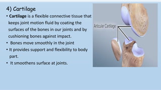 Knee pain | PPTX