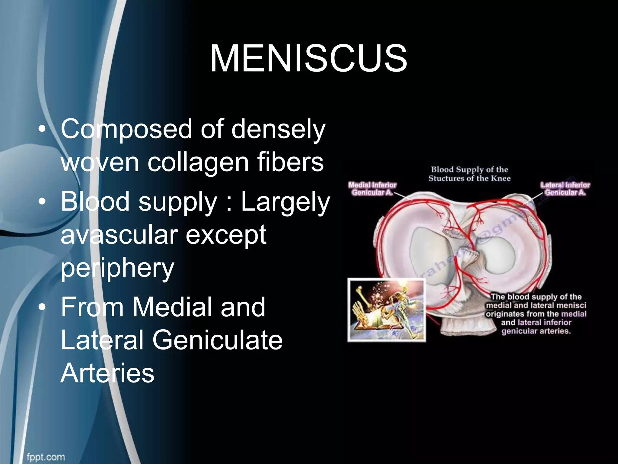 Meniscal Injuries | PPTX