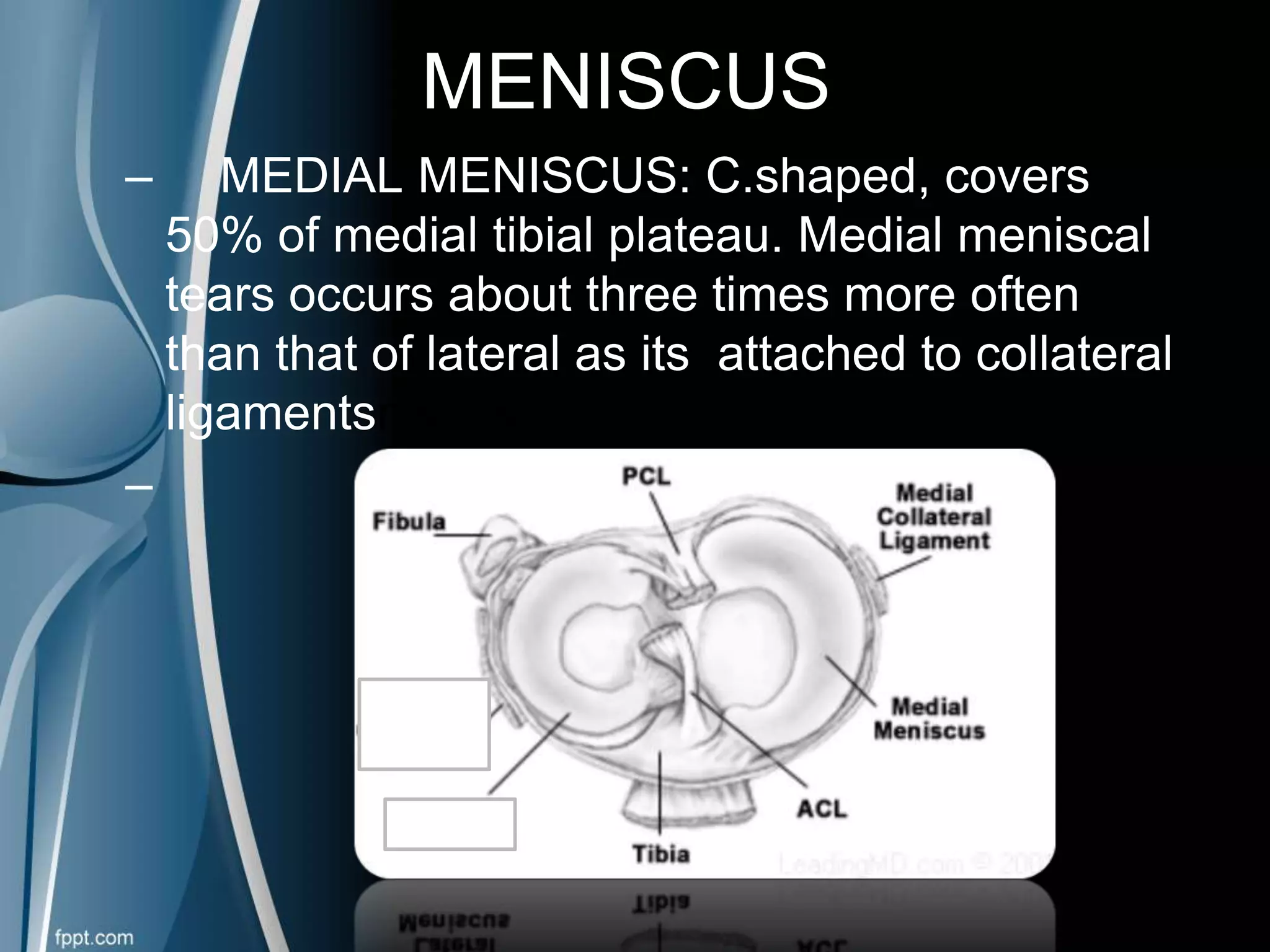 Meniscal Injuries | PPTX