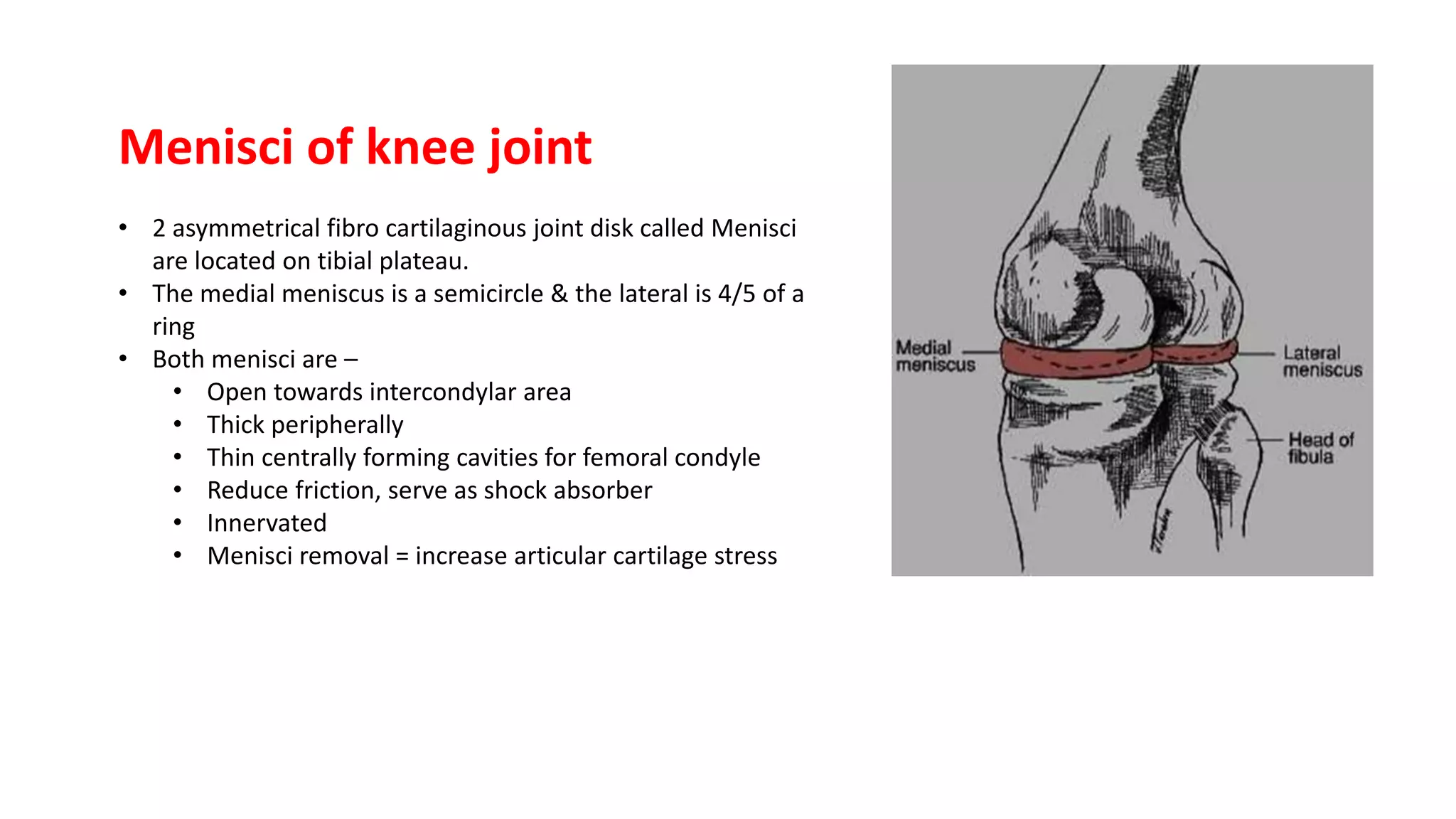 BIOMECHANICS & PATHOMECHANICS OF KNEE JOINT AND PATELLOFEMORAL JOINT | PPTX