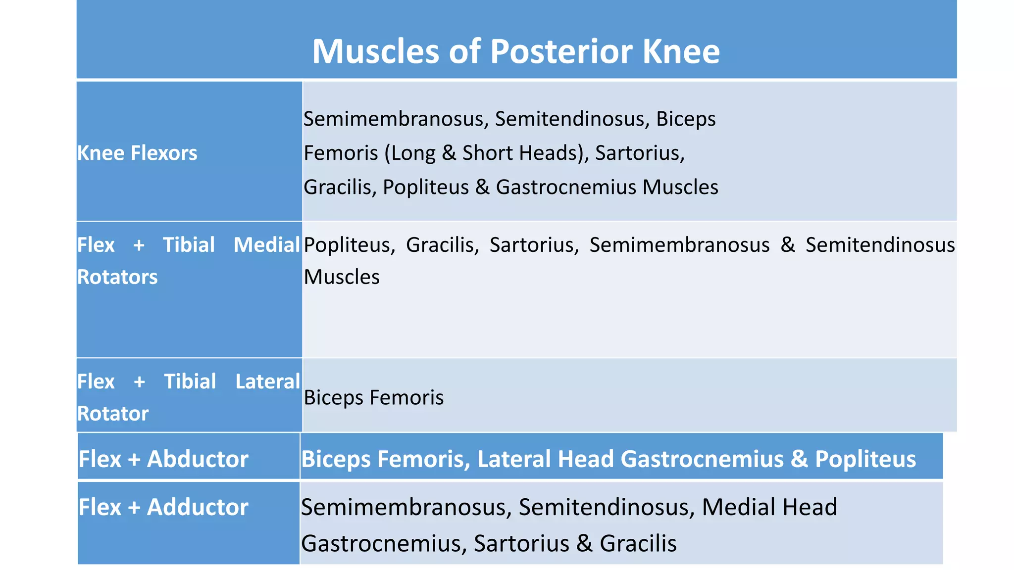 BIOMECHANICS & PATHOMECHANICS OF KNEE JOINT AND PATELLOFEMORAL JOINT | PPTX