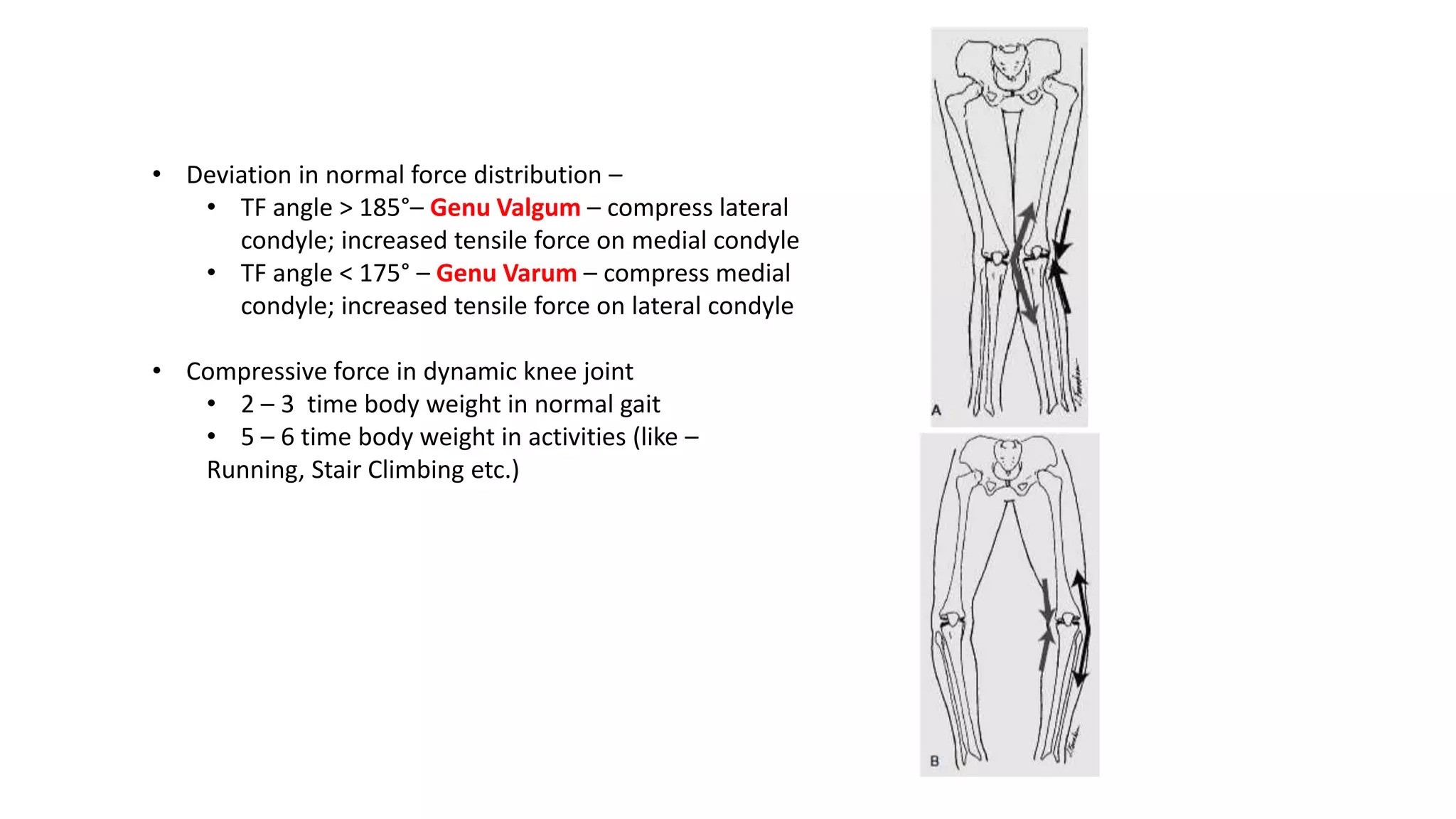 BIOMECHANICS & PATHOMECHANICS OF KNEE JOINT AND PATELLOFEMORAL JOINT | PPTX