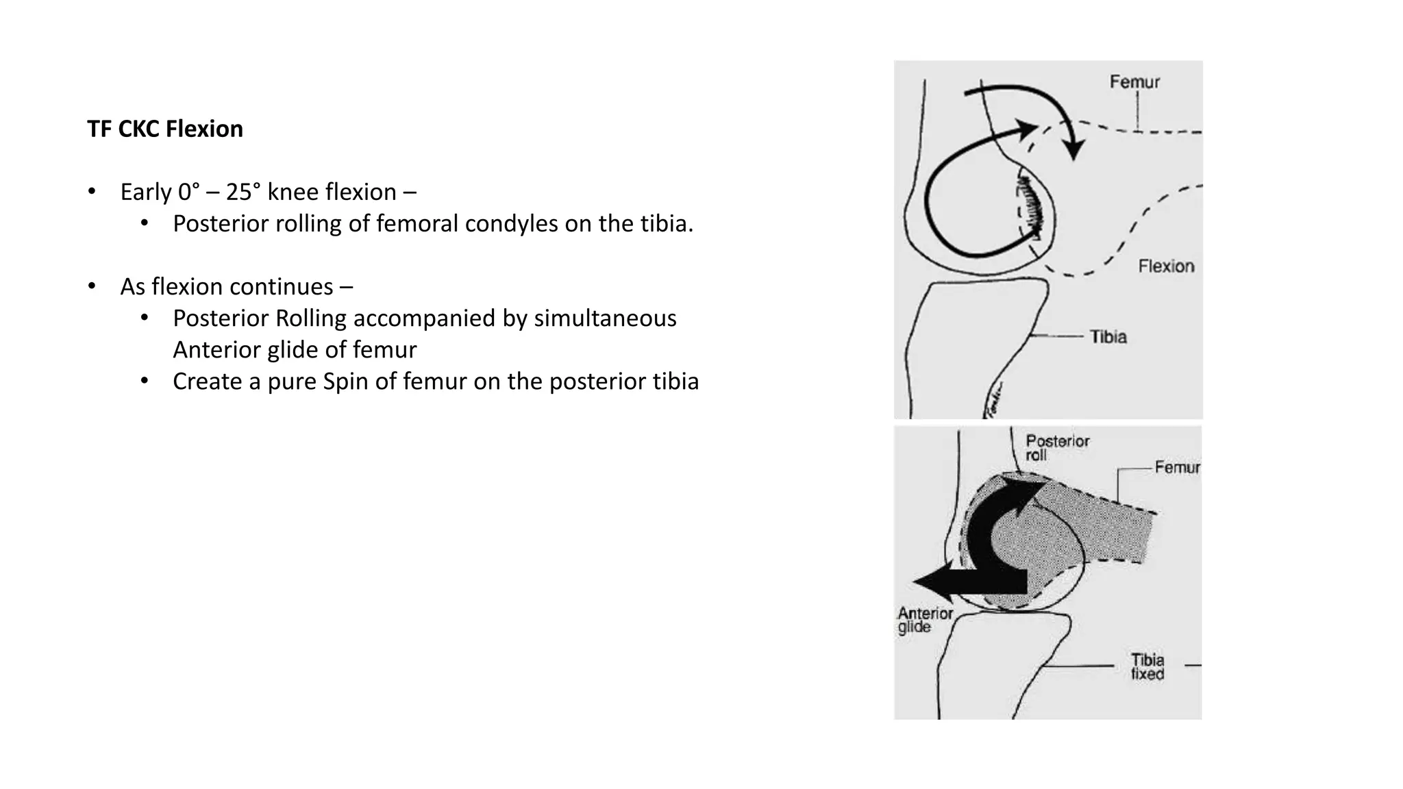 BIOMECHANICS & PATHOMECHANICS OF KNEE JOINT AND PATELLOFEMORAL JOINT | PPTX