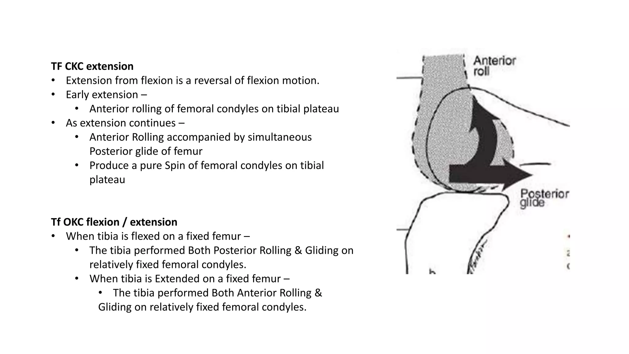 BIOMECHANICS & PATHOMECHANICS OF KNEE JOINT AND PATELLOFEMORAL JOINT | PPTX
