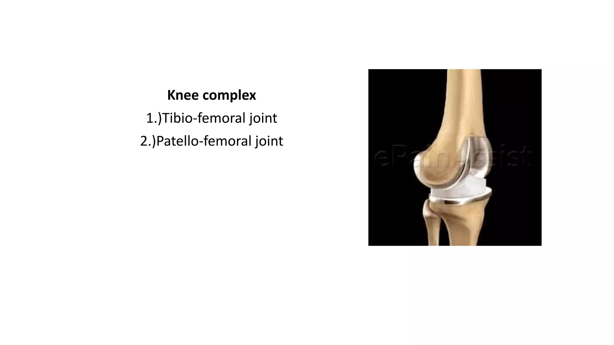 BIOMECHANICS & PATHOMECHANICS OF KNEE JOINT AND PATELLOFEMORAL JOINT | PPTX