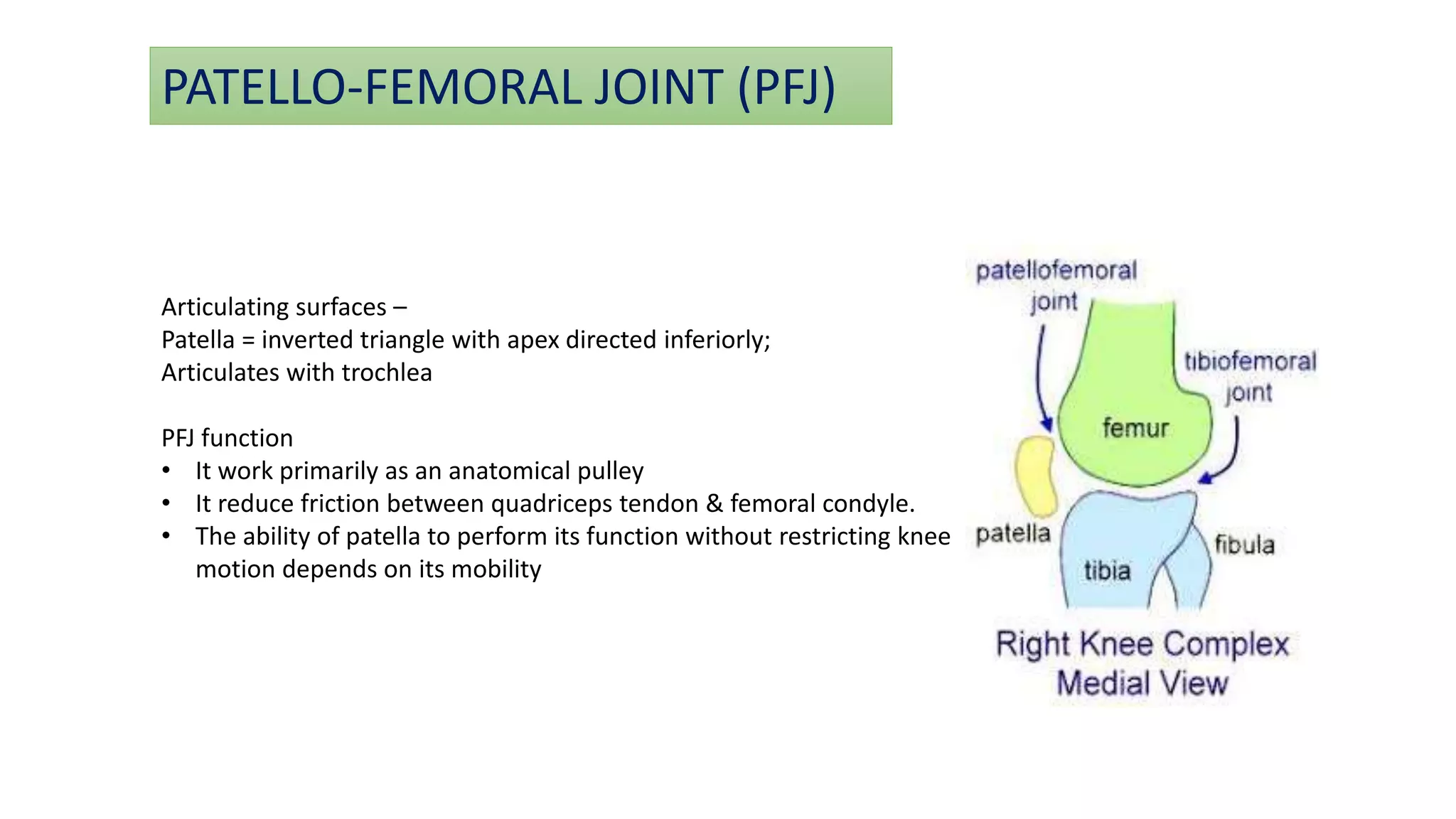 BIOMECHANICS & PATHOMECHANICS OF KNEE JOINT AND PATELLOFEMORAL JOINT | PPTX