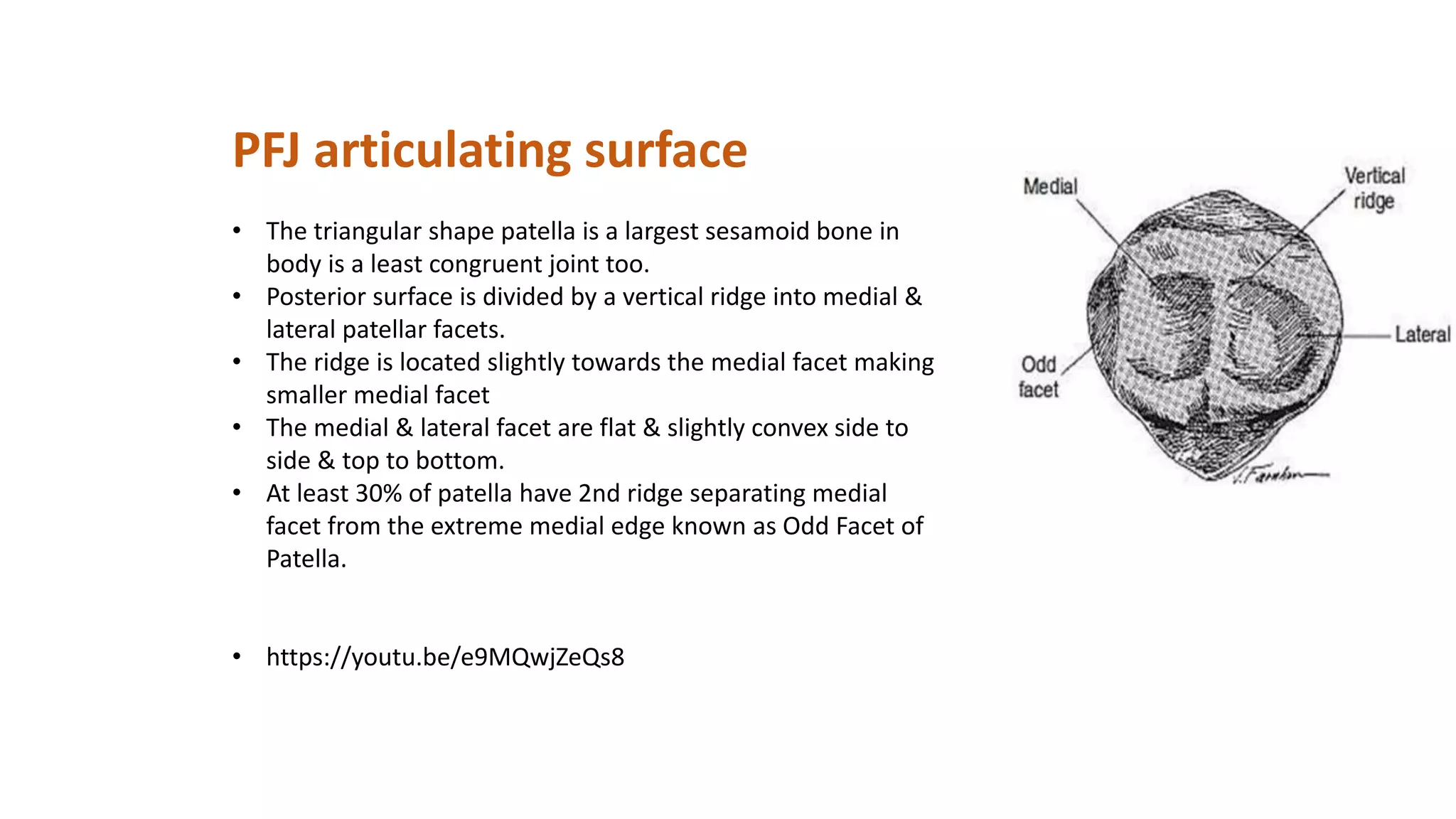 BIOMECHANICS & PATHOMECHANICS OF KNEE JOINT AND PATELLOFEMORAL JOINT | PPTX