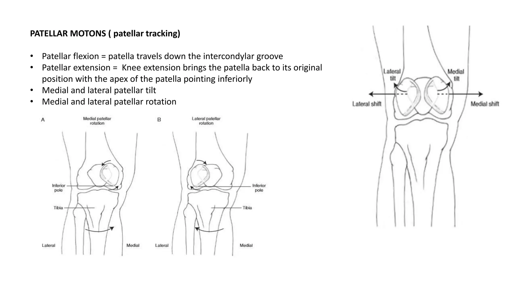 BIOMECHANICS & PATHOMECHANICS OF KNEE JOINT AND PATELLOFEMORAL JOINT | PPTX