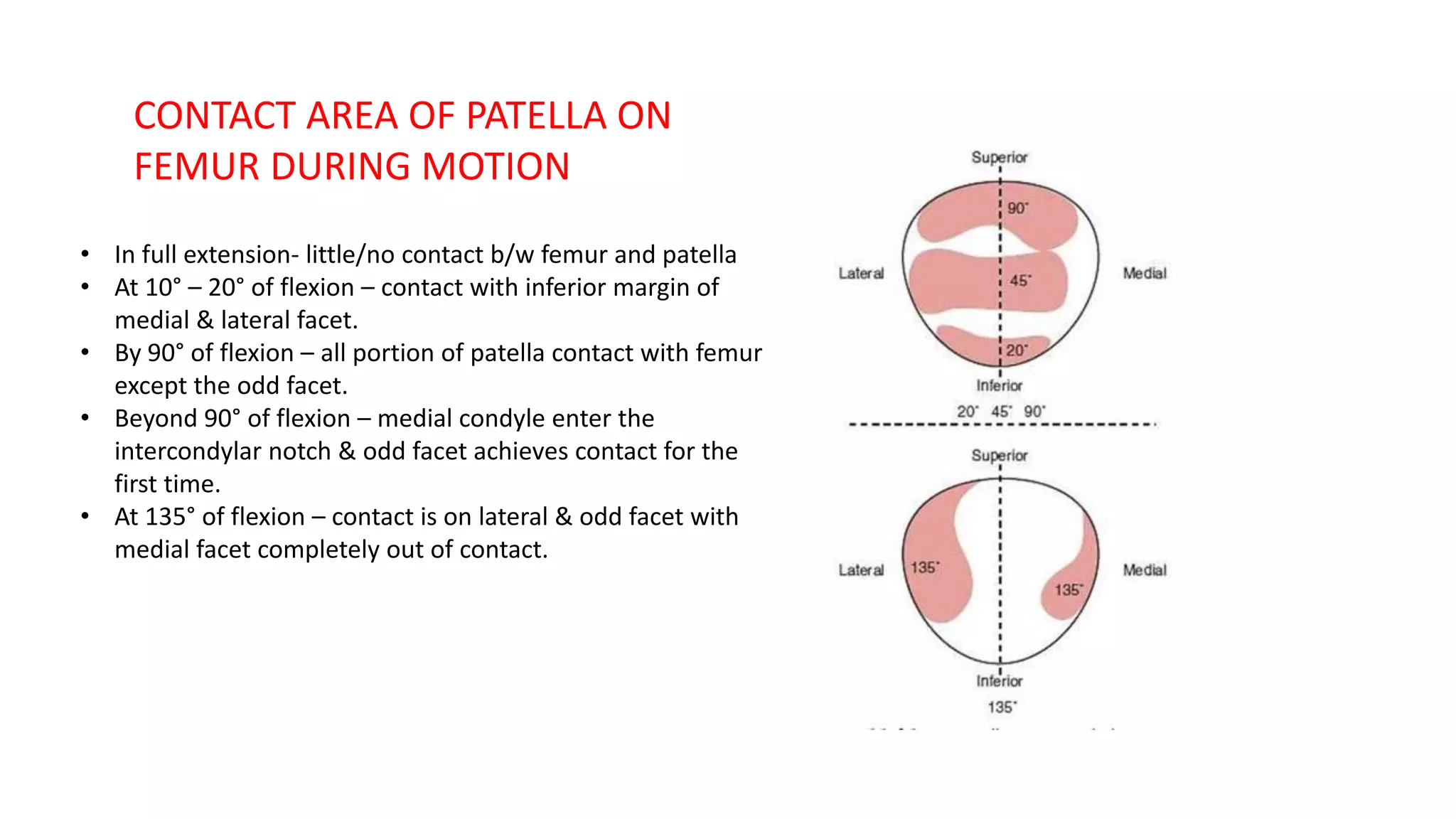 BIOMECHANICS & PATHOMECHANICS OF KNEE JOINT AND PATELLOFEMORAL JOINT | PPTX