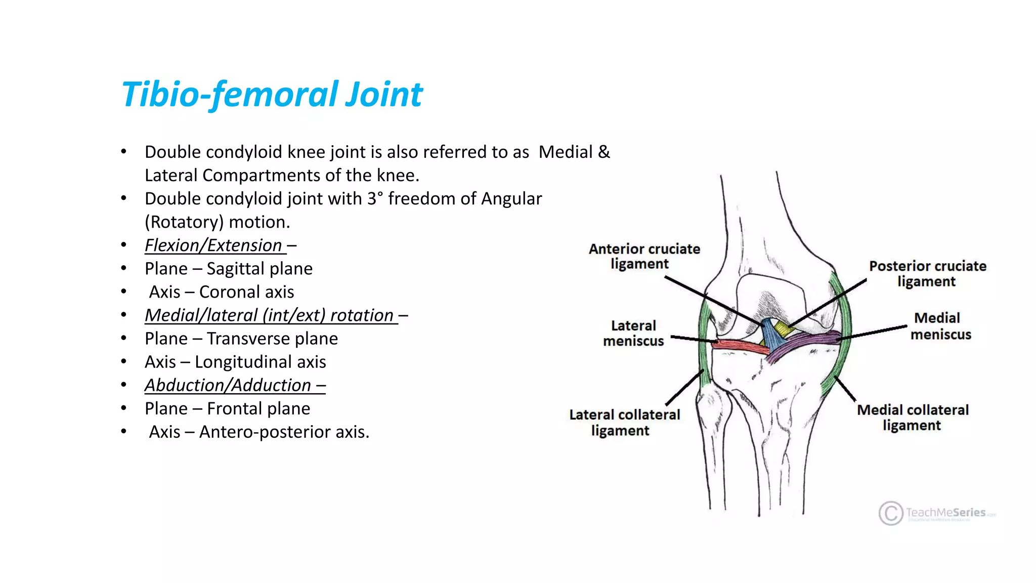 BIOMECHANICS & PATHOMECHANICS OF KNEE JOINT AND PATELLOFEMORAL JOINT | PPTX