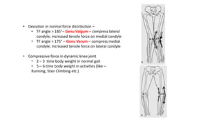 BIOMECHANICS & PATHOMECHANICS OF KNEE JOINT AND PATELLOFEMORAL JOINT | PPTX