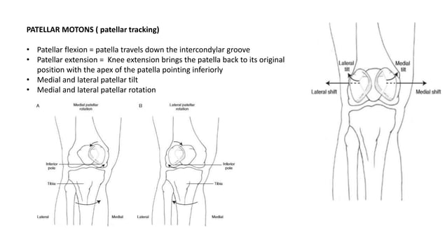 BIOMECHANICS & PATHOMECHANICS OF KNEE JOINT AND PATELLOFEMORAL JOINT | PPTX