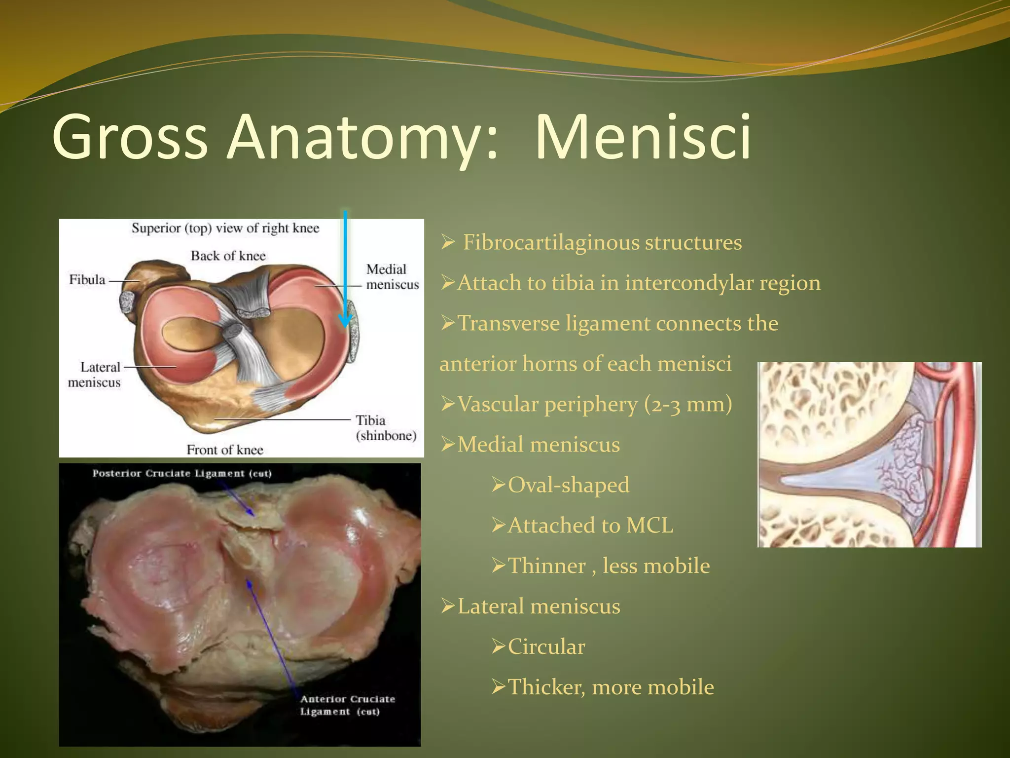 Knee Problems and Knee Injuries Overview | PPTX