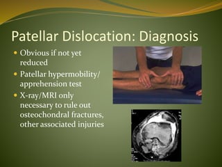 Knee Problems and Knee Injuries Overview | PPTX