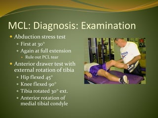 Knee Problems and Knee Injuries Overview | PPTX