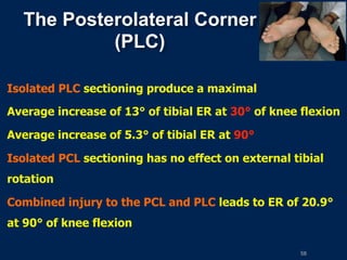 Knee soft tissue postgraduate orthopaedic 2016 | PPT