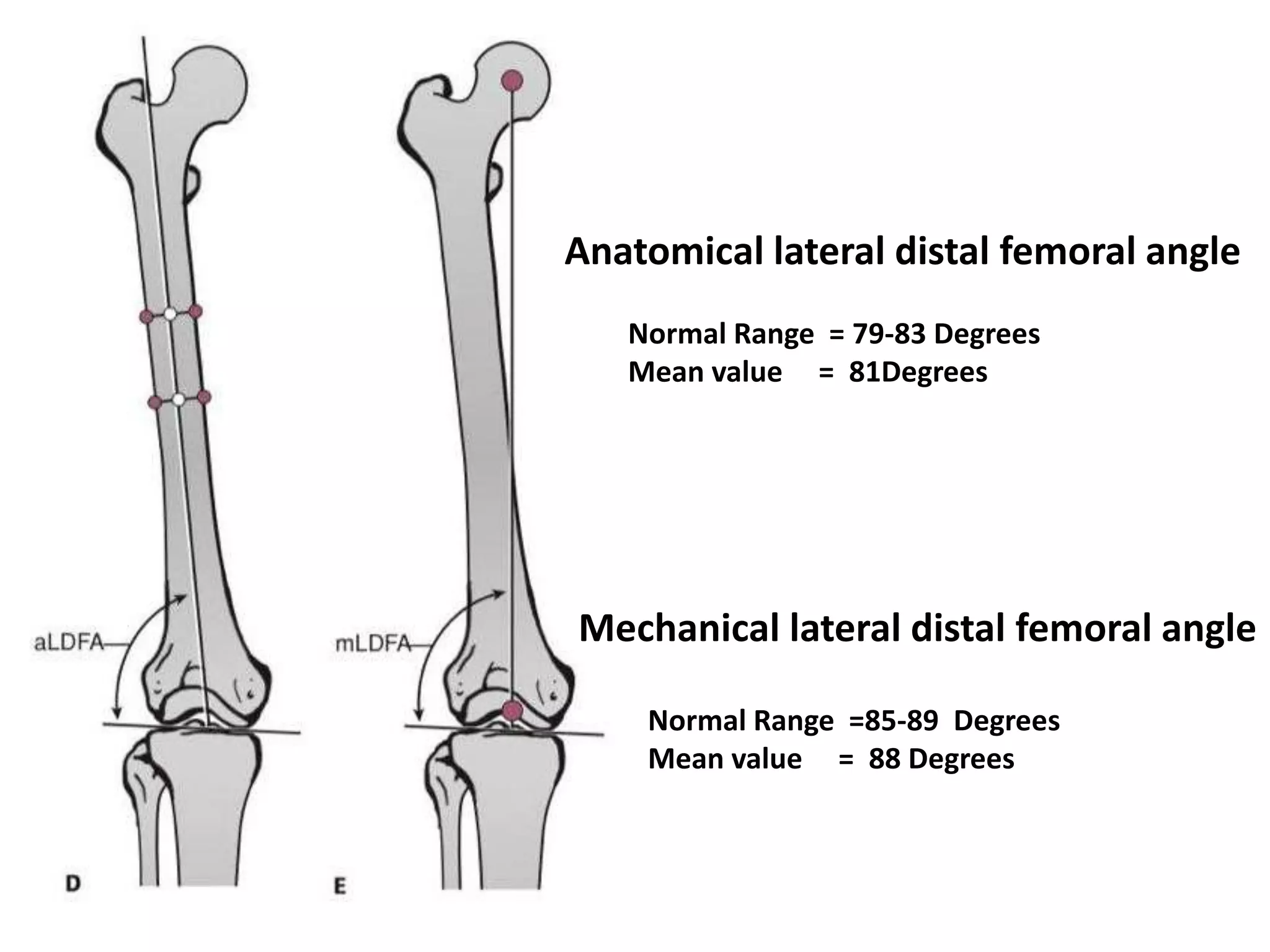 Knee joint xray views | PPTX