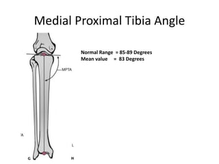 Knee joint xray views | PPTX