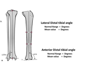 Knee joint xray views | PPTX