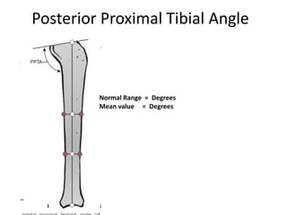 Knee joint xray views | PPTX