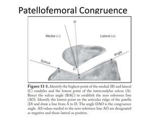 Knee joint xray views | PPTX