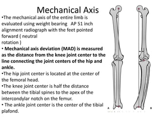 Knee joint xray views | PPTX
