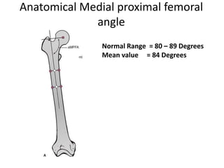 Knee joint xray views | PPTX