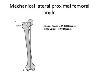 Knee joint xray views | PPTX