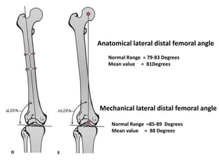 Knee joint xray views | PPTX