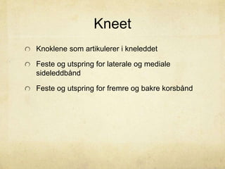 Kneleddet(art genus) | PPTX