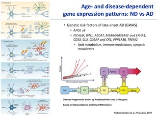 Kneusel - Neuroinflammation | PPTX