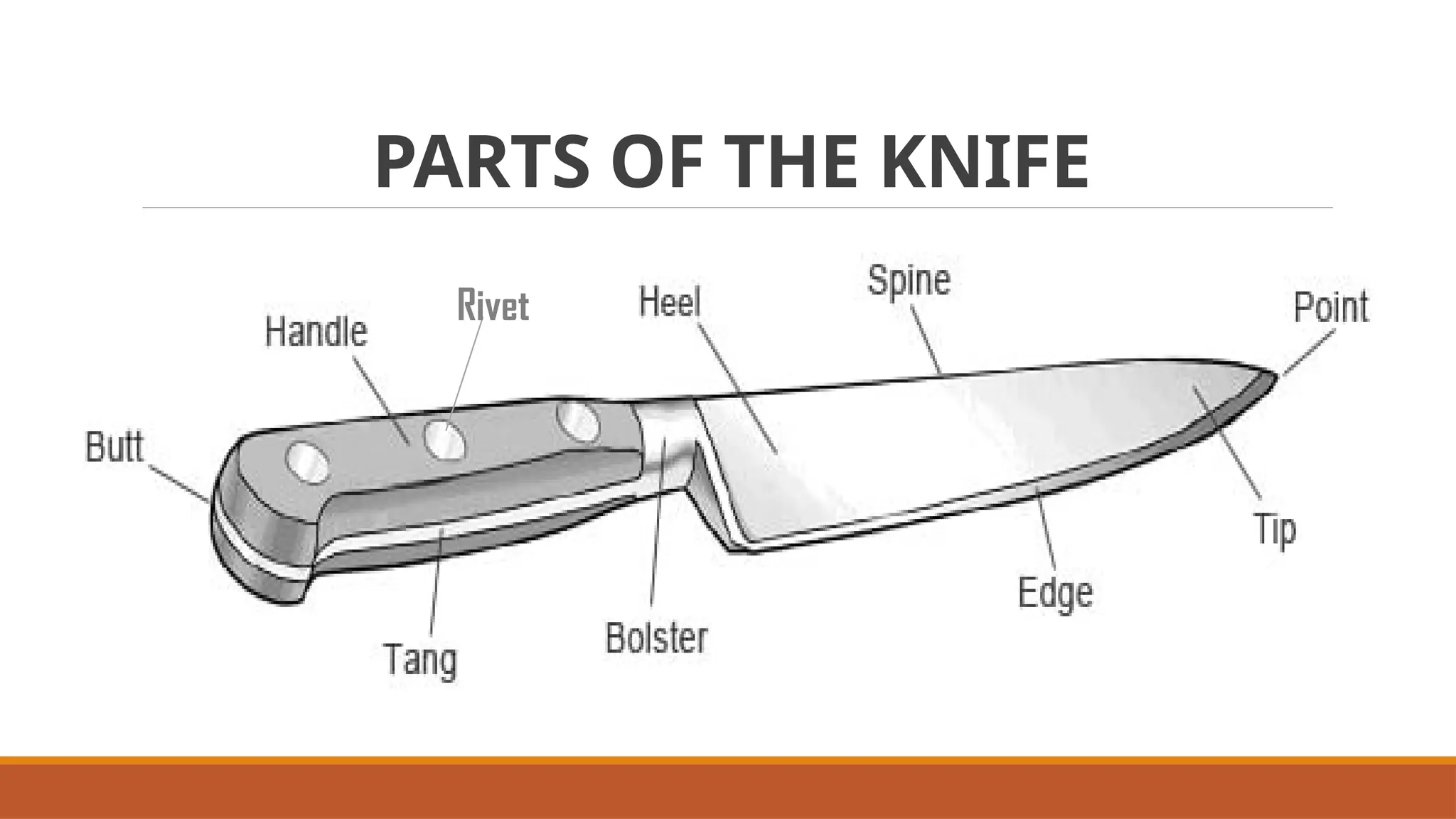knife skills powerpoint presentation ppt | PPTX