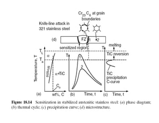 knife line attack.pdf