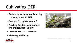Cultivating an OER Pathway: A College-Wide Collaborative Approach-open ...